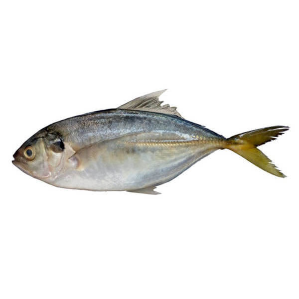 Delice Store - All your essentials in one store!